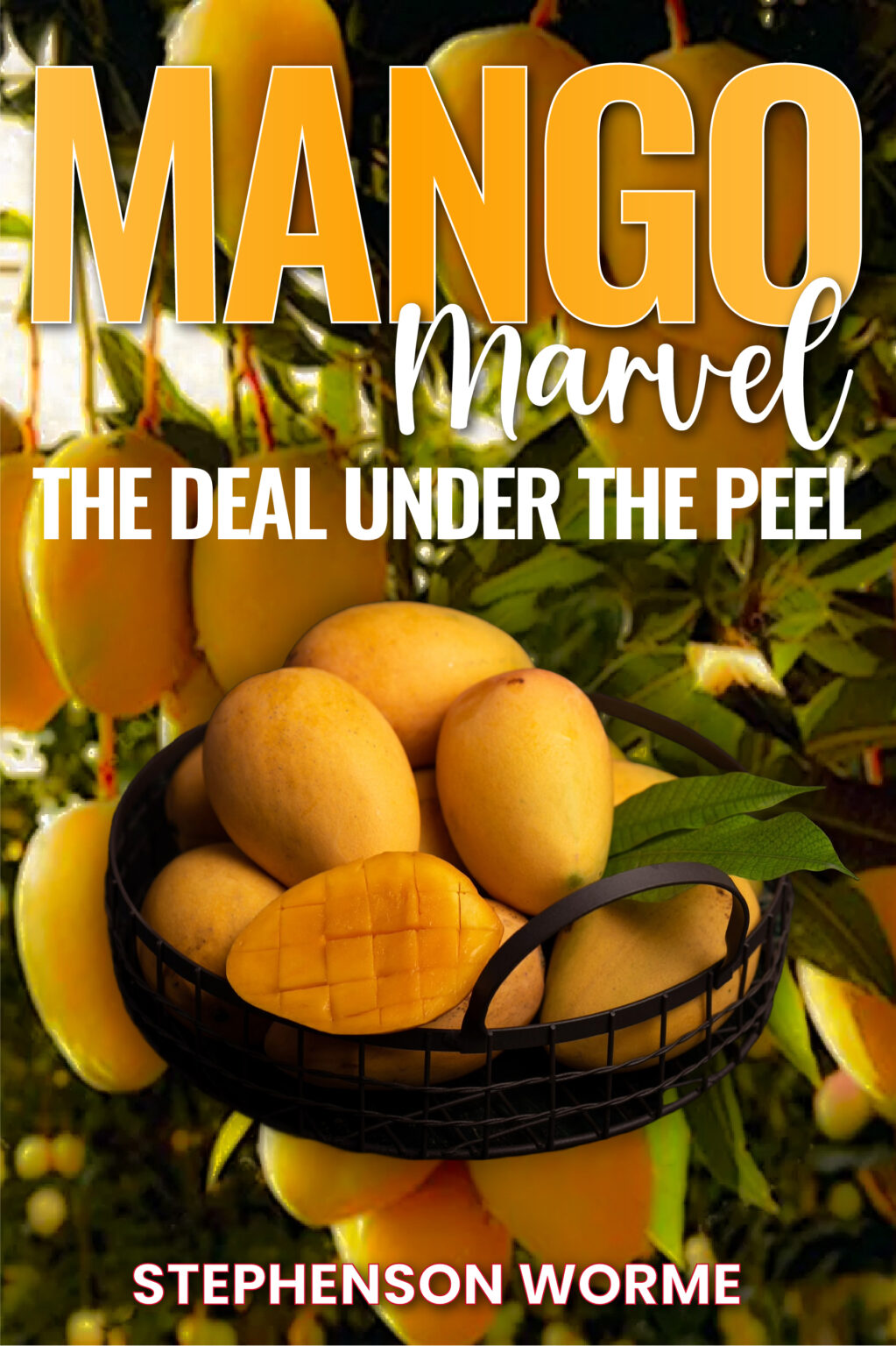 MANGO MARVAL – stephensonworme